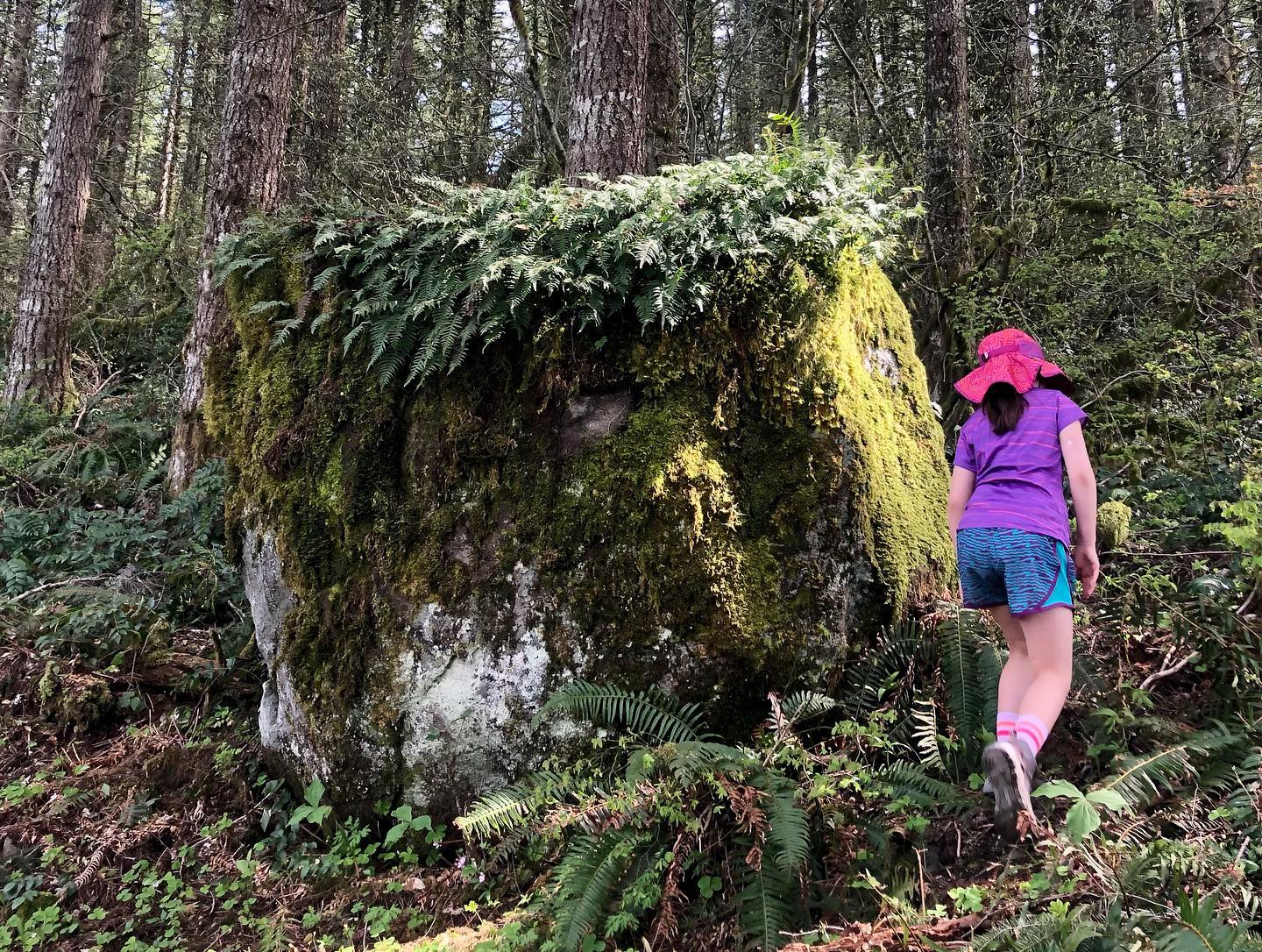 Tarbell Trail – Yacolt Burn State Forest – little feet hiking