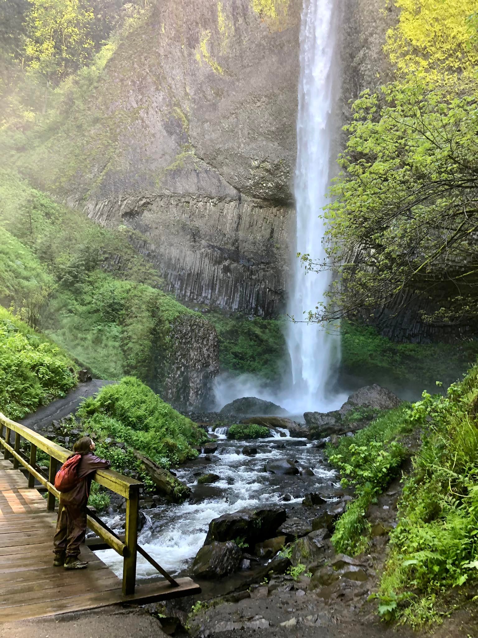 Columbia River Gorge Must-do Spring Hikes – little feet hiking
