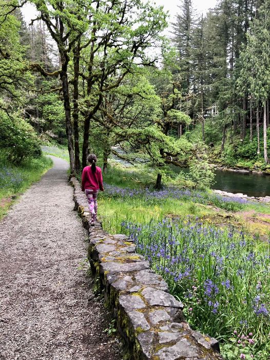 How and Where to Hike in Spring around Portland, Vancouver, Mt. St ...