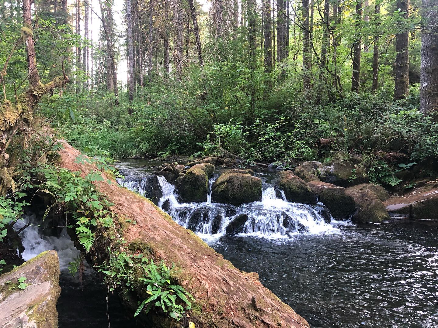 Shady Hikes for the Portland/Vancouver Area July 2024 Heat Wave ...